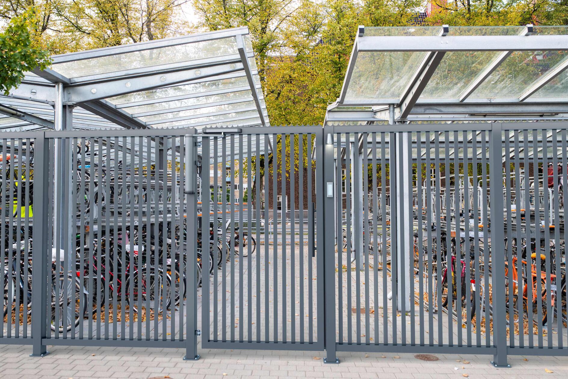 Locinox Venus - F.H.Brundle